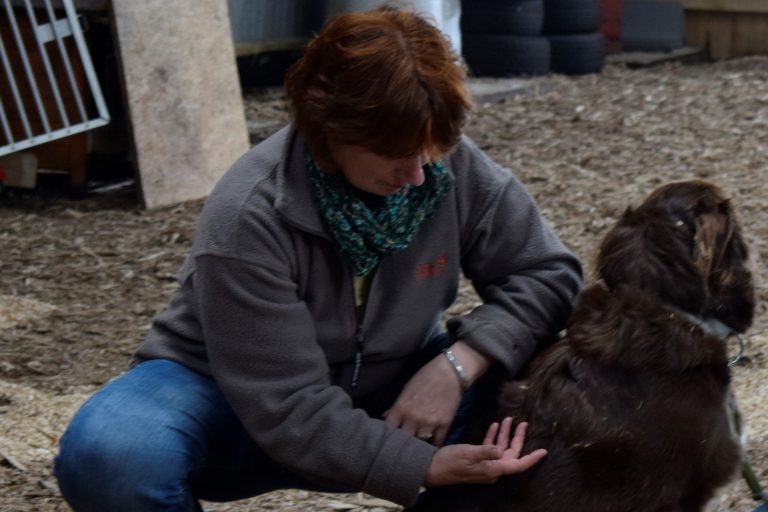 1-2-1, talks, workshops and retreats – Heimke Moll