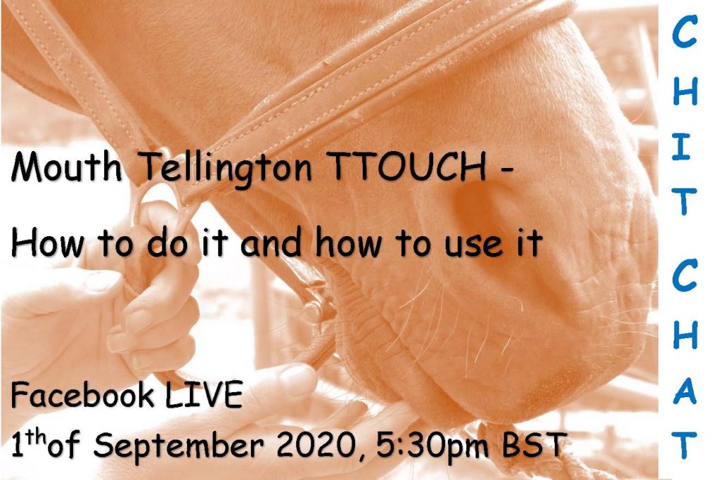 Mouth Tellington TTOUCH – How to do it and how to use it – Heimke Moll